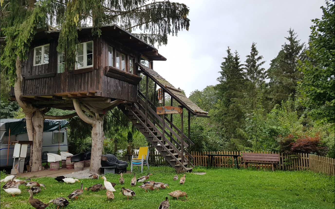 Wildberg | Schweiz Tourismus